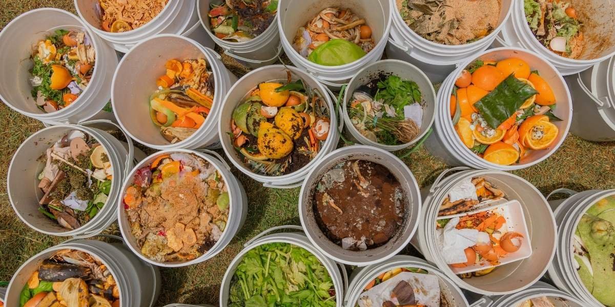 How Reducing Food Waste Can Help the Planet and Feed More People ...